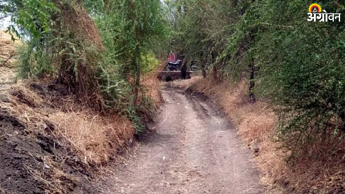 Panand Road | नांदेडमधील ८७ गावांत पाणंद रस्ते मंजूर | Water roads ...