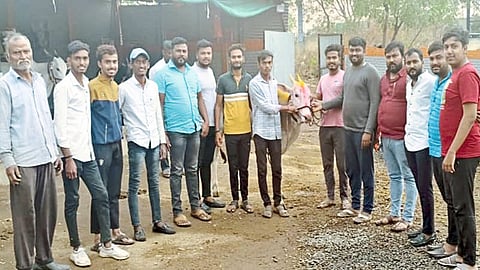 Kolhapur Bail Gada sharyat । बैलगाडा शर्यतीचा थरार आणि बदललेला गावगाडा ...