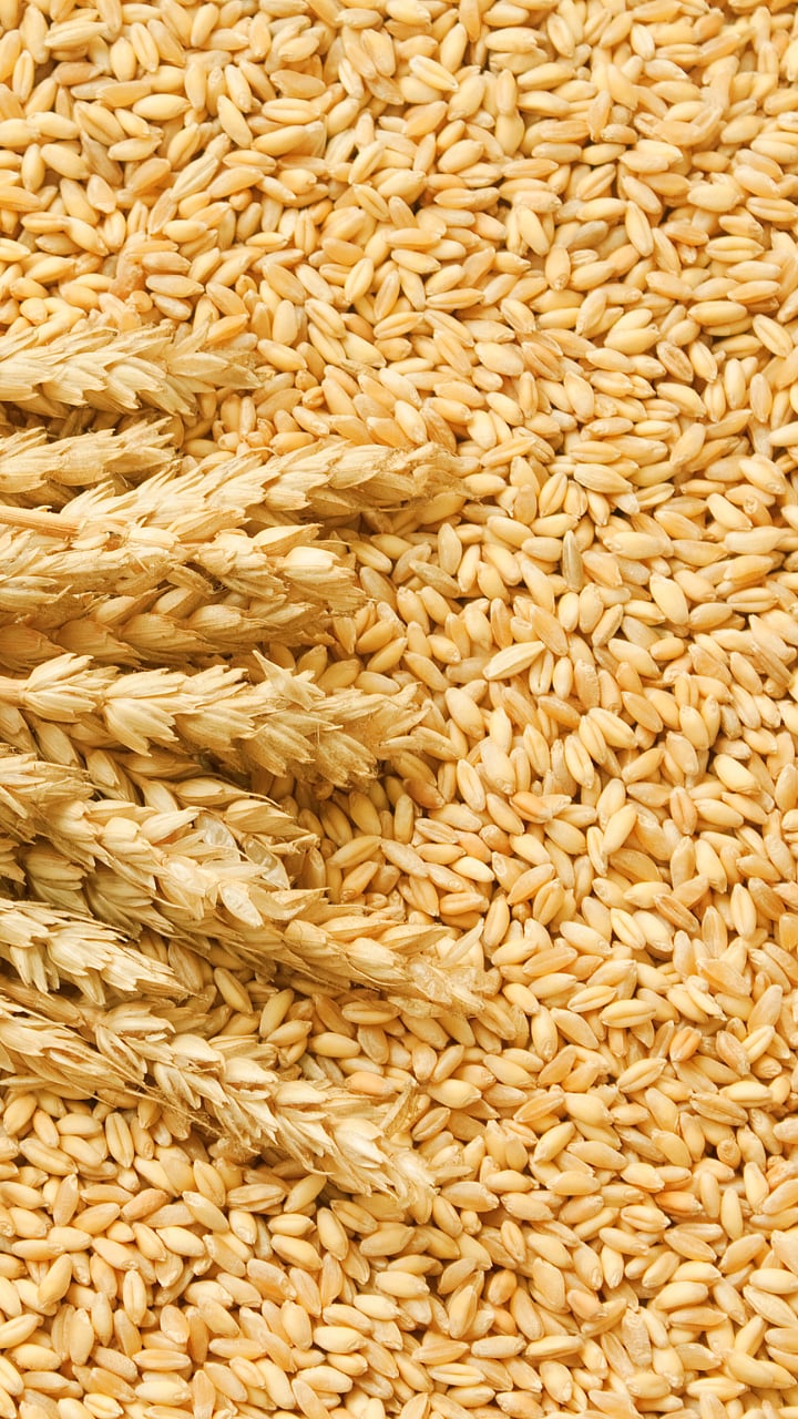 Change Weather | उष्णतेच्या लाटेचा कोणत्या पिकांना बसणार फटका? | Will ...