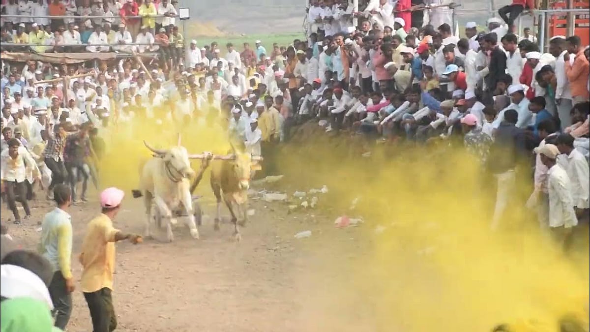 Maharashtra Kesari Bailgada Sharyat | खेडमध्ये बैलगाडा शर्यत पडली पार ...