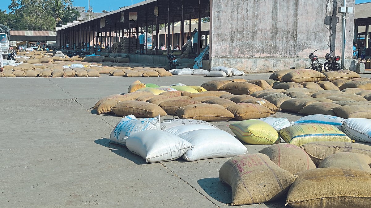 Tur Chana Arrival । अकोला बाजार समिती तूर, हरभरा आवकेने फुल्ल । Akola ...