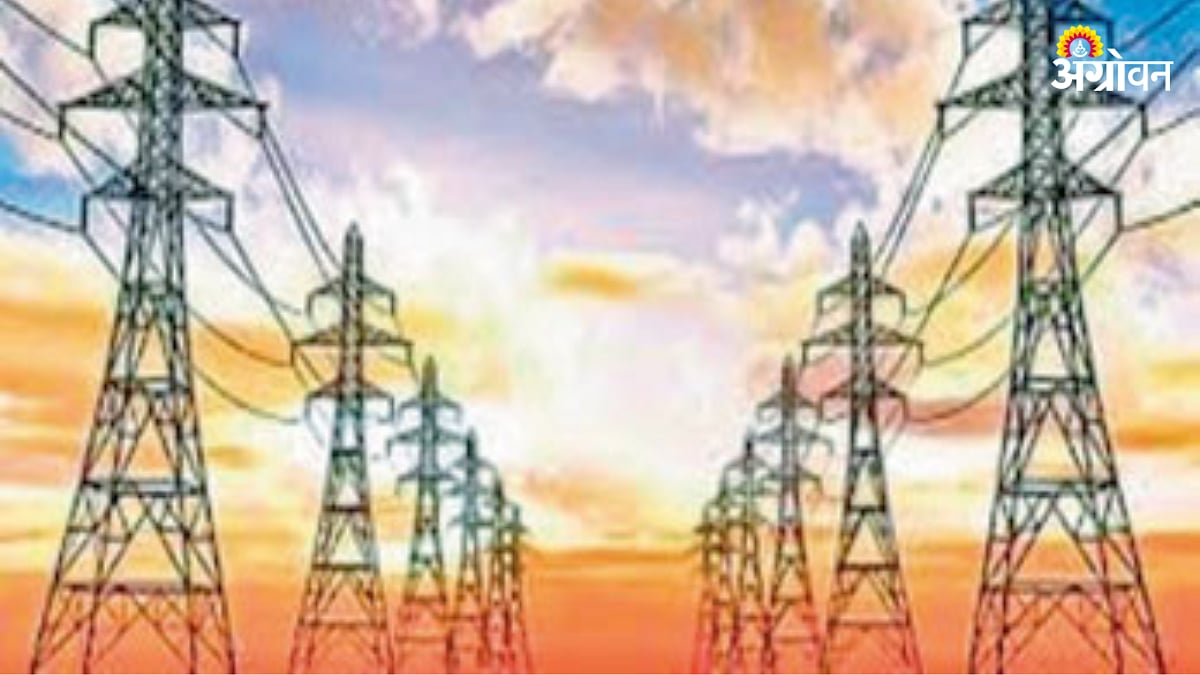 NTPC Solapur News | ‘एनटीपीसी’कडून ५५०० मिलियन युनिटसची वीजनिर्मिती ...