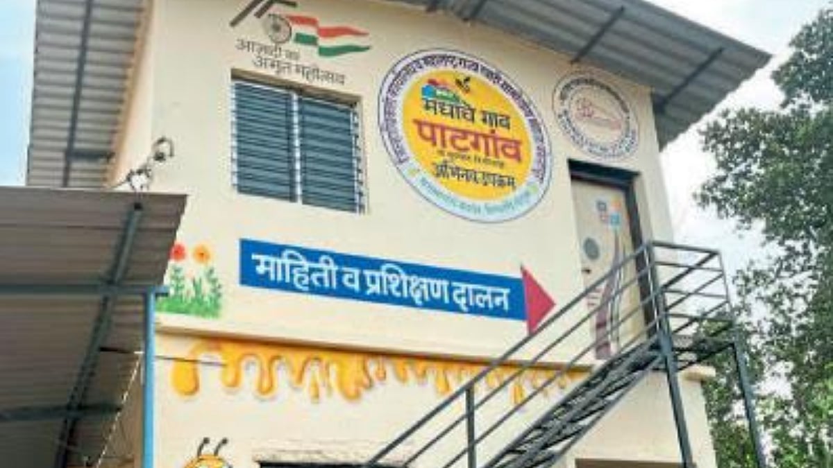 Honey Production । पाटगावच्या मधाचा गोडवा जगभर पसरणार । sweetness of ...