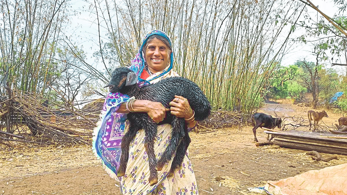 Women's In Agriculture : मावळातील आधुनिक हिरकणी सगाबाई| Story Of Maval ...