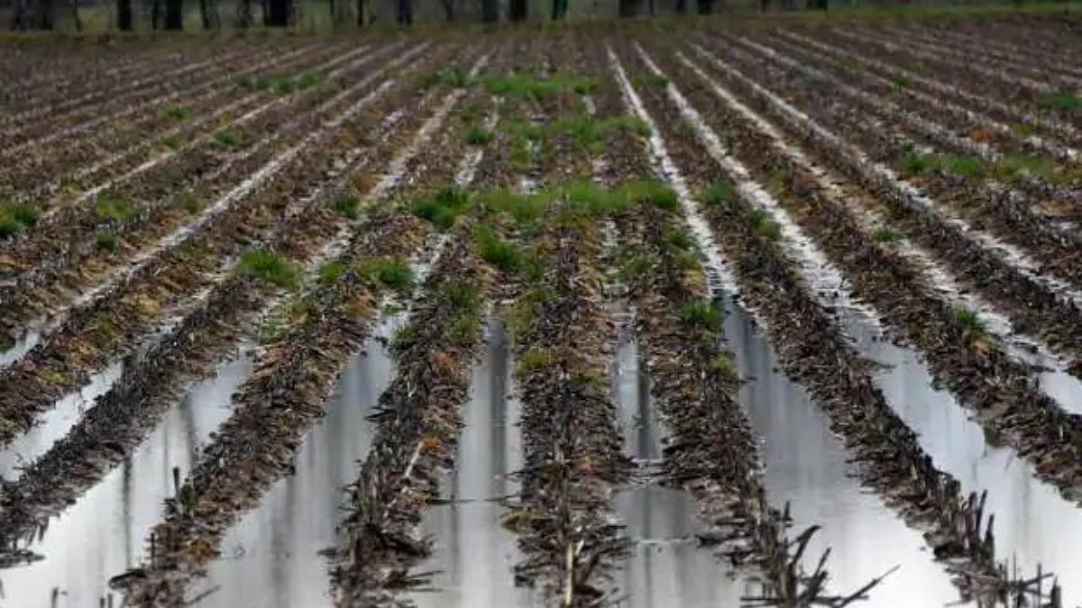 Crop Damage Report । पंचनामे झाले, पण नुकसान भरपाई कधी मिळणार? । Damage ...