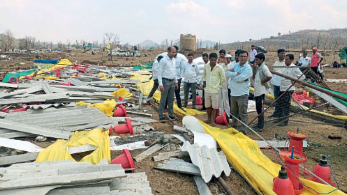 Crop Damage In Nashik | इगतपुरी, सिन्नर, निफाडमध्ये शेतीची वाताहत ...