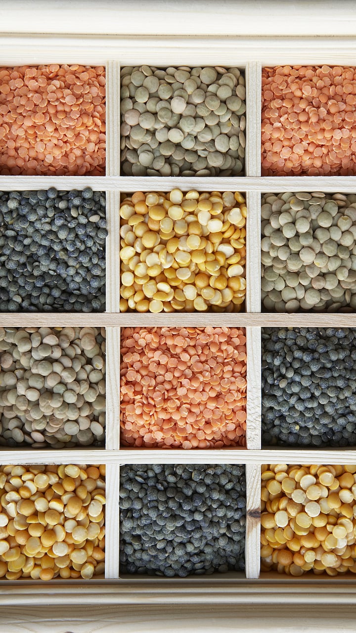 Pulses Processing : कडधान्ये प्रक्रिया करूनच का खावीत?|Why should ...