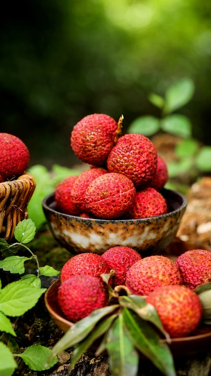 Litchi Farming । लीची शेतीला बिहार सरकार देणार प्रोत्साहन । Bihar Govt ...