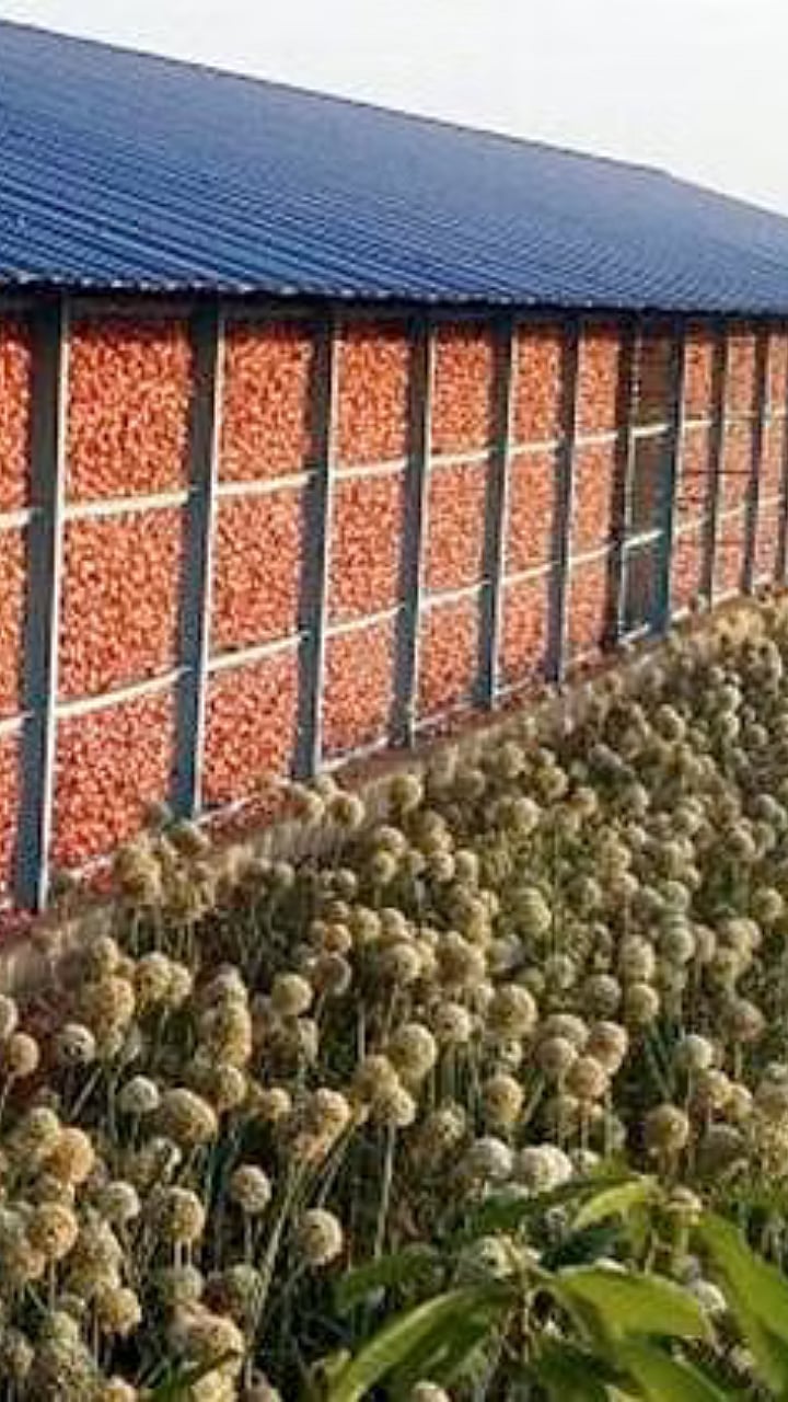 Kanda Chal Anudan । कांदा चाळीसाठी मिळणार १.५ लाखांचे अनुदान ...