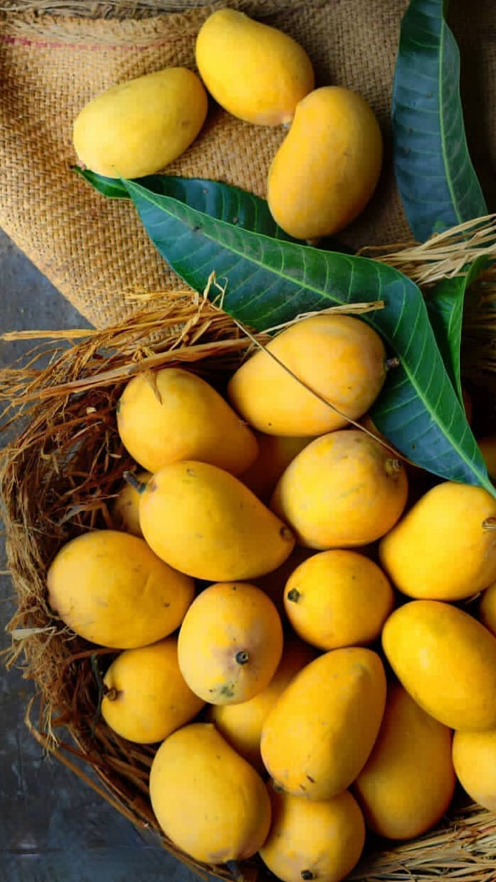Mango Season : आंबा हंगाम अंतिम टप्प्यात आला का?|Is the mango season in ...