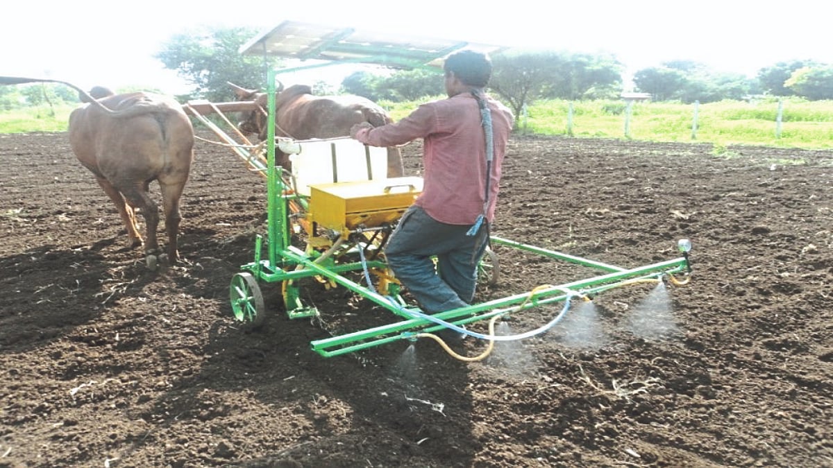 Soybean Sowing | ‘बीबीएफ’द्वारे आठ हजार हेक्टरवर सोयाबीन पेरणी ...