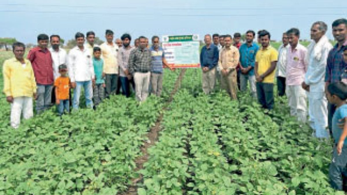 Sheti Shala : पीक मार्गदर्शनासाठी शेतीशाळा प्रभावी माध्यम ः डॉ. मुरली ...