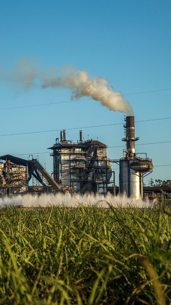 Sugarcane FRP | राज्यातील किती साखर कारखान्यांनी थकविली एफआरपी? |How ...