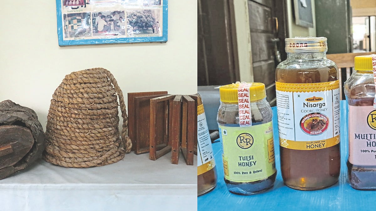 Beekeeping | मधमाशांसोबत दोस्ती करायला शिकवणारी ‘सीबीआरटीआय’ | 'CBRTI ...