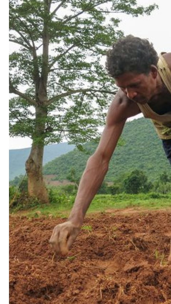 Sowing Tips : पावसाचा दगा, पेरते व्हा! पण पेरणी करताना ही काळजी घ्या ...