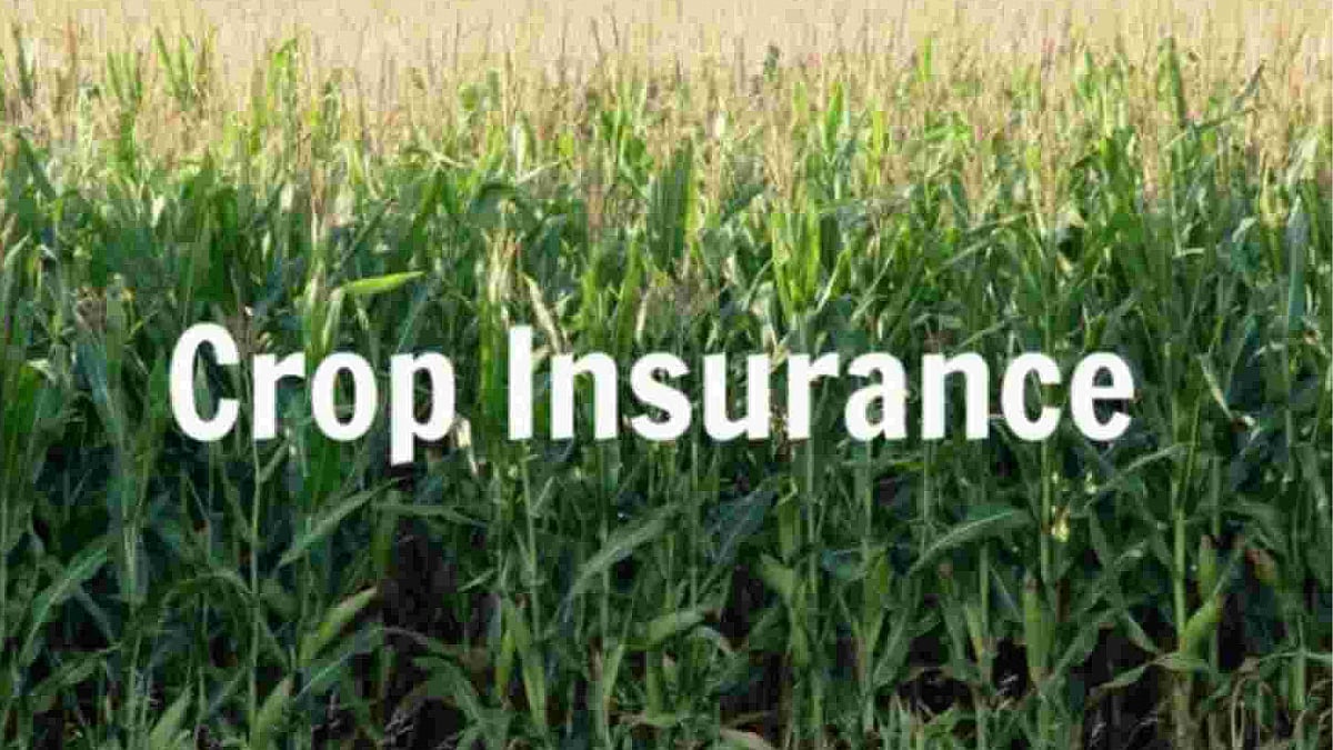 Crop Insurance Scheme | खरीप हंगामासाठी एक रुपयात पीक विमा योजना | One ...