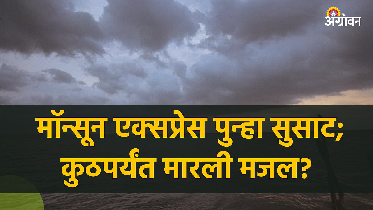 Monsoon 2023 | माॅन्सून एक्सप्रेस पुन्हा सुसाट; कुठपर्यंत मारली मजल ...