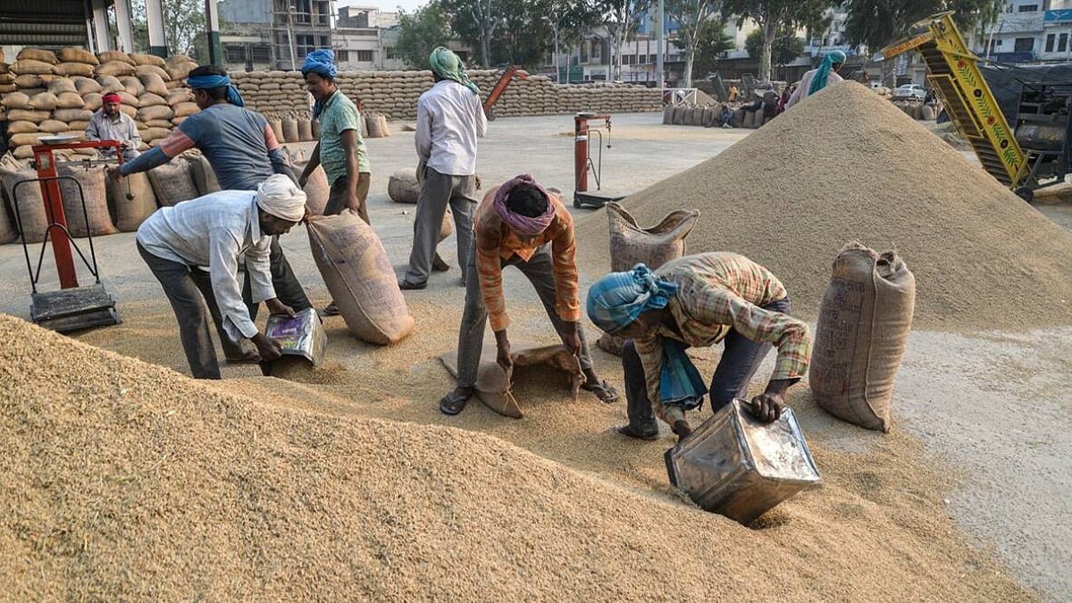 Grain Procurement । किमान आधारभूत दराने धान्य खरेदीस ३१ डिसेंबरपर्यंत ...