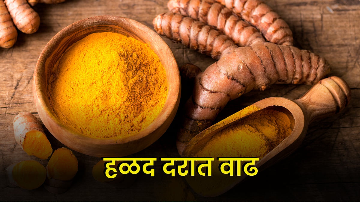 Turmeric Market । हिंगोली, वसमतमध्ये हळद दरात वाढ । Turmeric Rates ...
