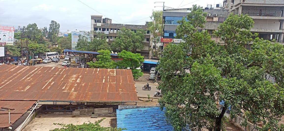 Kolhapur Rain Update|कोल्हापूर जिल्ह्यात ऊन पावसाचा खेळ, शेतकरी संकटात ...