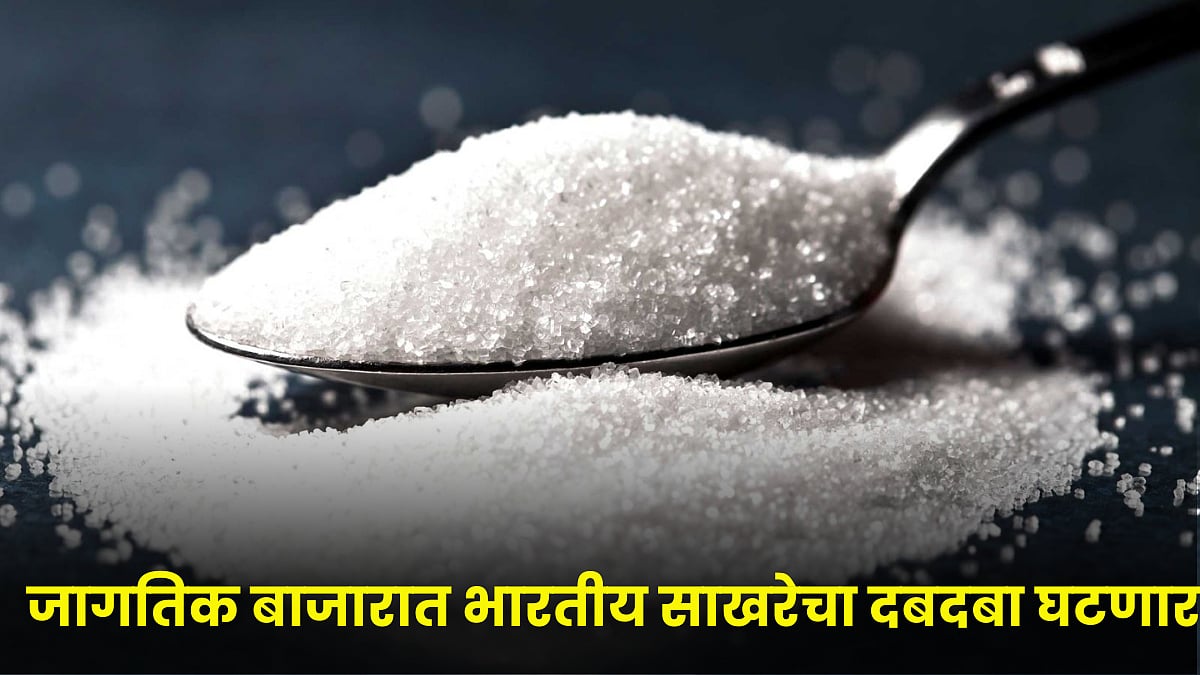 Indian Sugar । जागतिक बाजारात भारतीय साखरेचा दबदबा घटणार । The ...