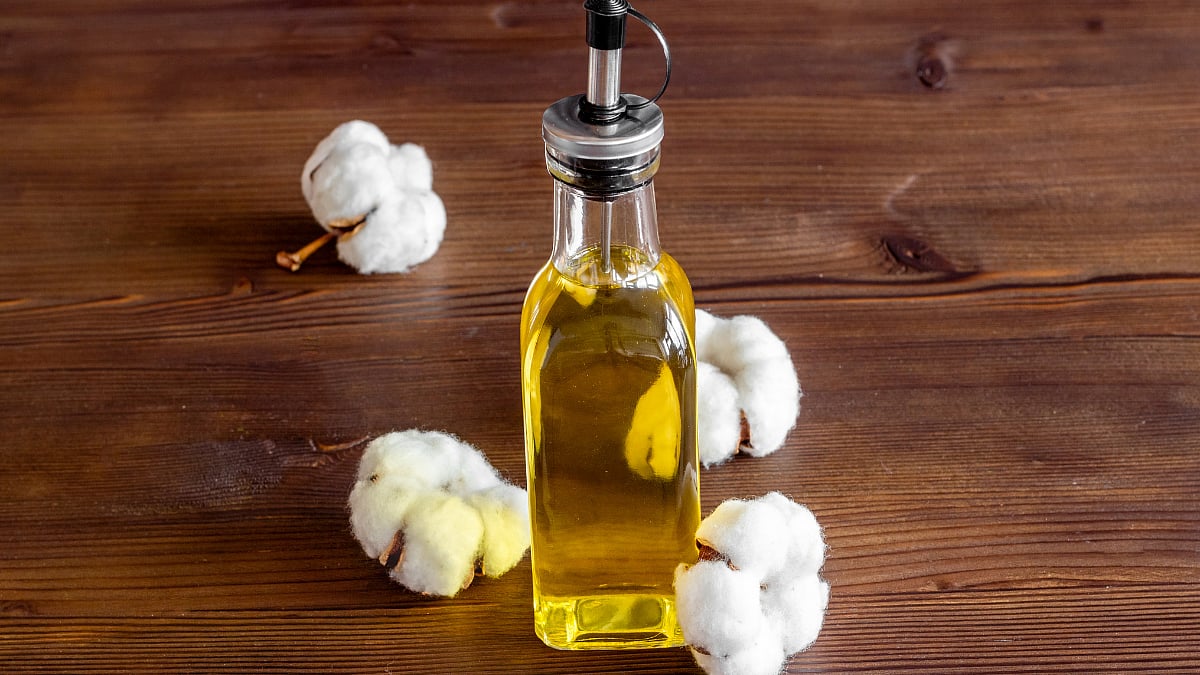 Sarki Oil : बहुगुणी सरकी तेल माहितीअभावी दुर्लक्षित|Multipurpose cotton ...