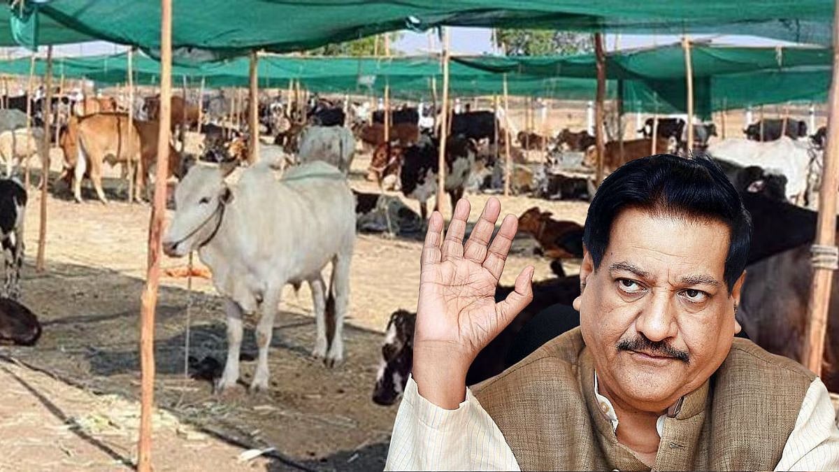 Satara Water shortage : सातारा जिल्ह्यातील माण, खटाव तालुक्यात पाणी ...