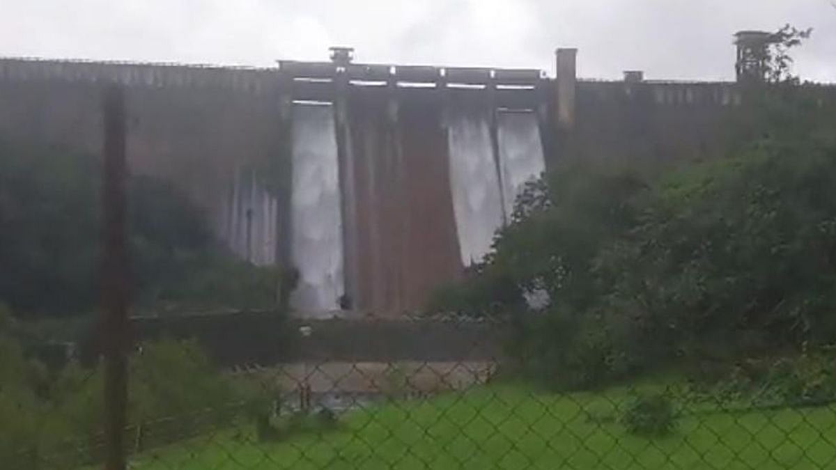 Kalammawadi Dam Kolhapur : कोल्हापुरातील सर्वात मोठ्या काळम्मावाडी ...