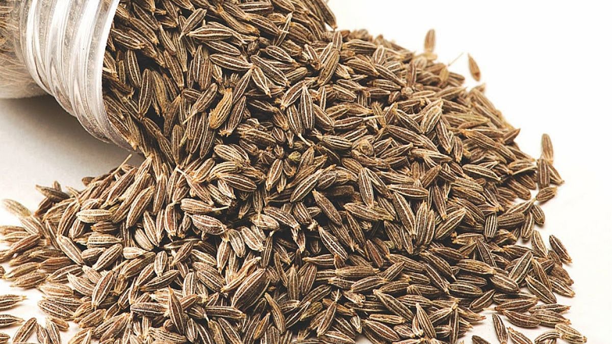 Agrowon Podcast | जिऱ्याच्या वायद्यांमध्ये निम्म्यापेक्षा जास्त घट ...