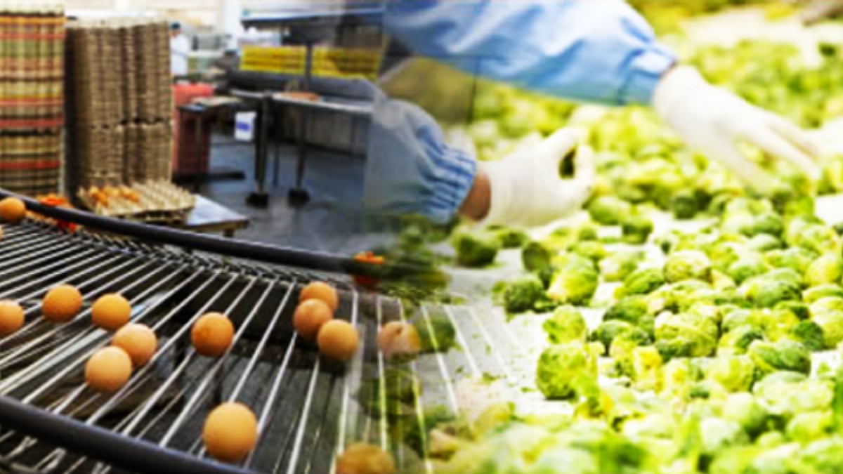 Food Processing Industry Scheme : प्रधानमंत्री सूक्ष्म अन्न प्रक्रिया ...