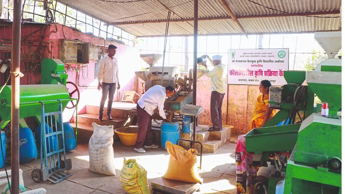 Agriculture Processing : कृषी प्रक्रिया केंद्रातून रोजगार निर्मितीची ...