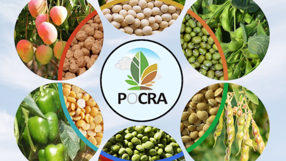 POCRA । ‘पोकरा’तून अवजारांसाठी दोन वेळा पूर्वसंमती। Two times pre ...