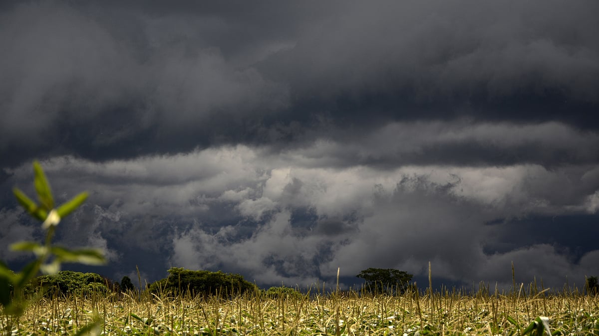 Monsoon Rain Update । राज्यात आणखी २ दिवस पावसाचा अंदाजविदर्भात पुढील ४ ...