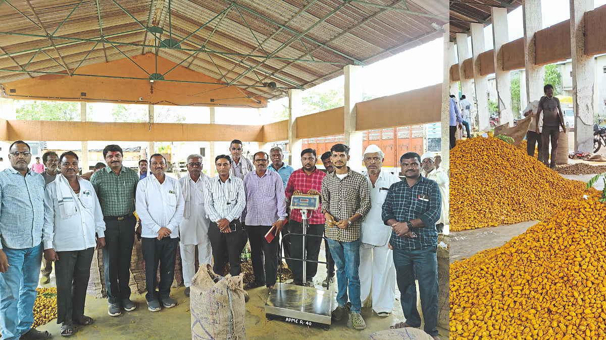 Turmeric Market : हळदीसाठी प्रसिद्ध रिसोडची बाजारपेठ यंदा दरांमध्ये ...