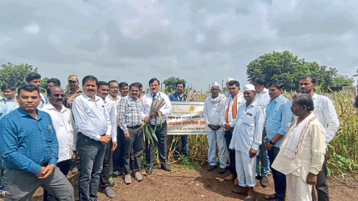 Bajari Crop । बाजरी पिकाचा पीक पद्धतीत समावेश करावा । Millets should be ...