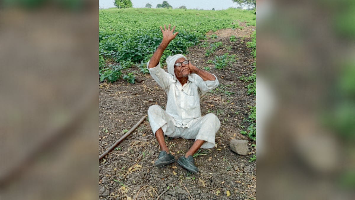 Kharif Crop : भातकुली तालुक्‍यात ५० हजार हेक्‍टर पिके धोक्‍यात । 50 ...