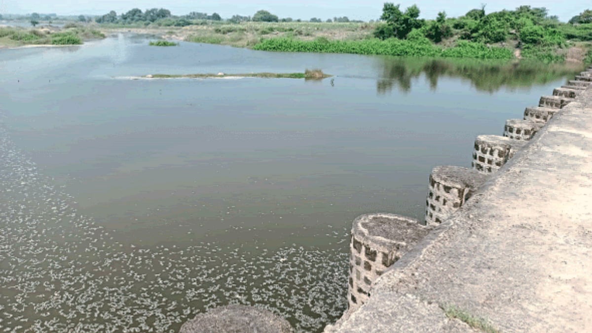 Tembhu Irrigation Scheme| टेंभूचे पाणी पहिल्यांदाच मंगळवेढ्यात | water ...