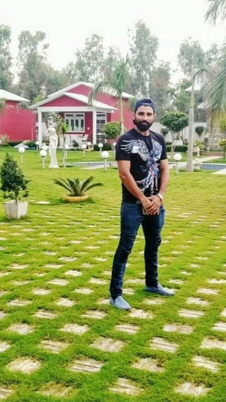 Mohammed Shami : मोहम्मद शमीचा ३० एकरात ऊस, २ एकरात आंब्याची बाग आणि ...