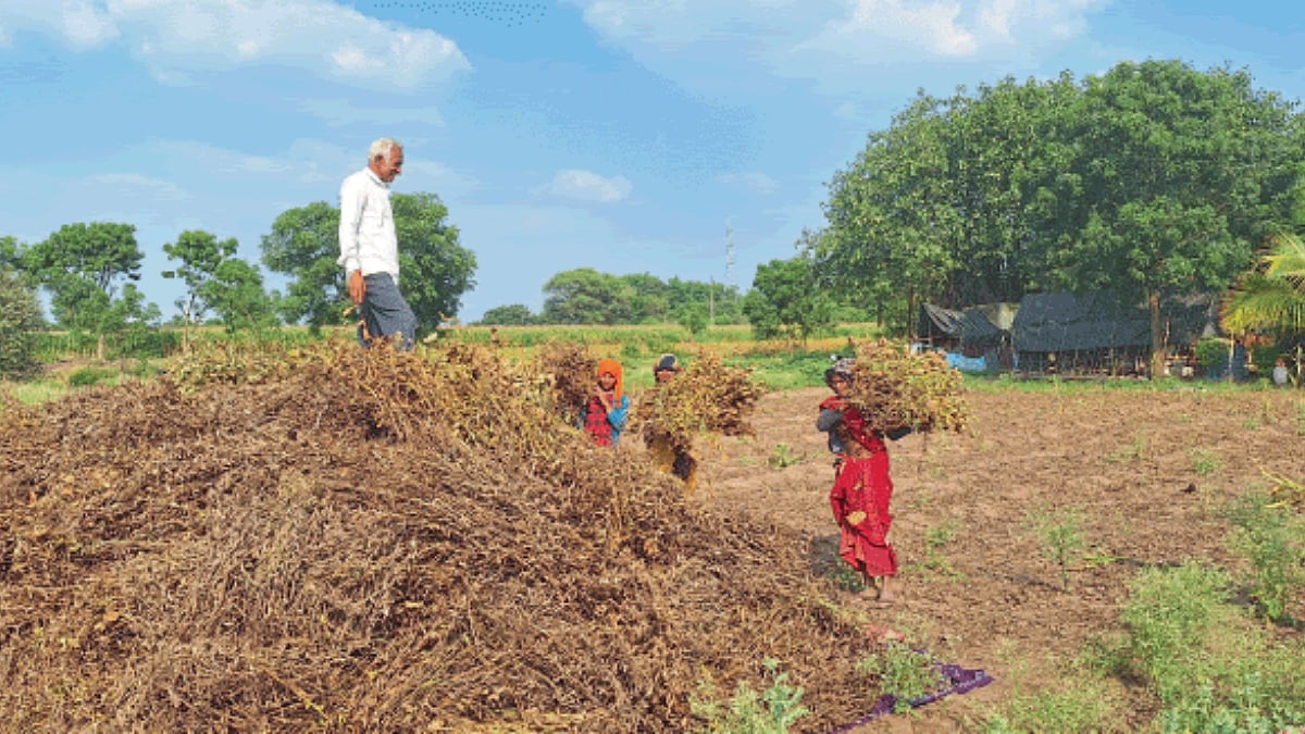 Retreating Monsoon । परतीच्या पावसाचा सोयाबीनला फटका व। Soybean Crop ...