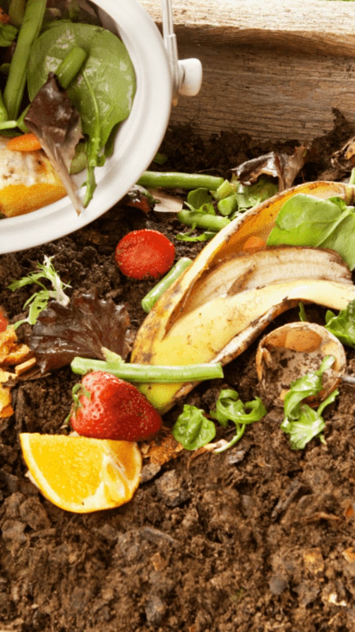 Kitchen Compost: किचनचा हा कचरा तुमच्या झाडांसाठी वरदान आहे | This ...