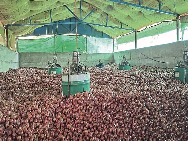 Kanda Chal : ‘एनएचआरडीएफ'च्या सुधारित कांदाचाळीत सड ५० टक्के कमी। 50 ...