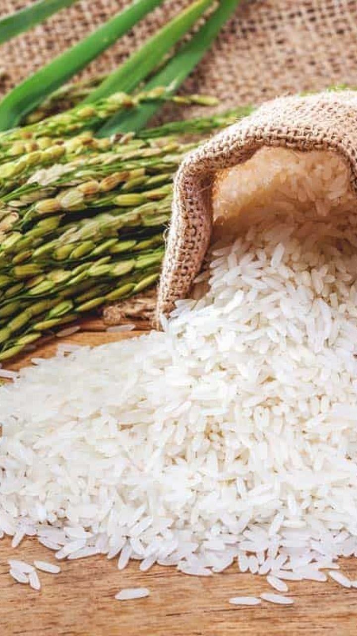 Rice : 'हे' आहे भाताचे टॉप वाण तुम्ही खाल्ले का? |'This' is the top ...