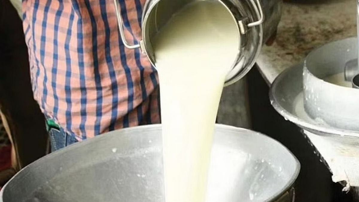 Gokul Dudh Sangh : गोकुळच्या टँकरमधून दुधाची चोरी, वारंवार घटनांमुळे ...