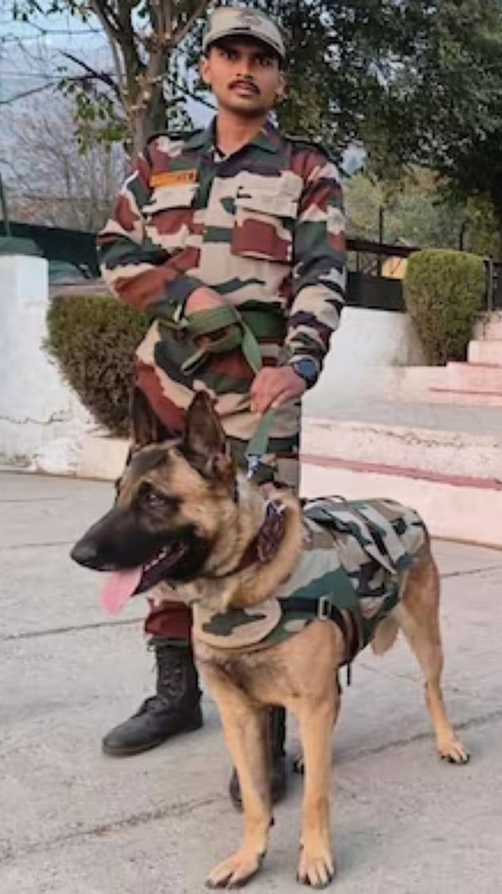 जर्मन शेफर्ड, लॅब्राडॉर नव्हे तर आपला 'शेरू आणि कालू' बनणार BSF चे डोळे ...