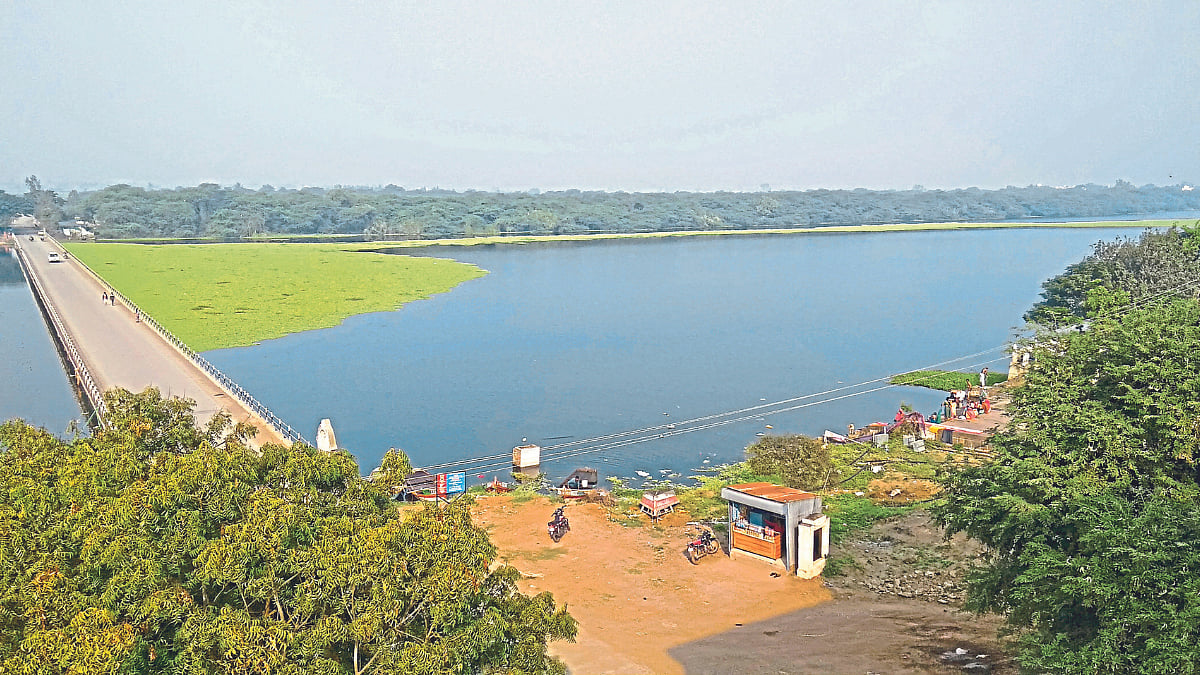 Ujani Water Level । उजनीची वाटचाल साठ टक्क्यांकडे । Progress of Ujani ...
