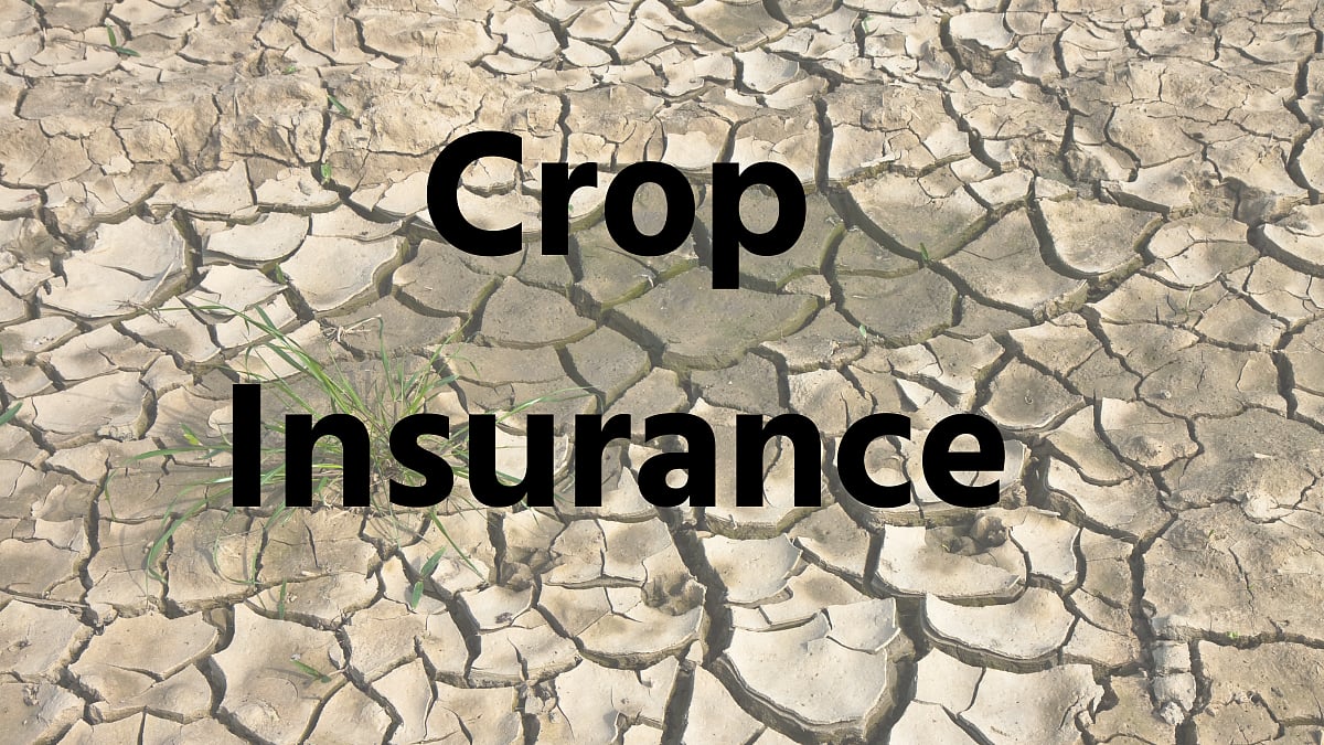 Advance Crop Insurance । वाशीम जिल्ह्याला अग्रिम भरपाईची हुलकावणी ...