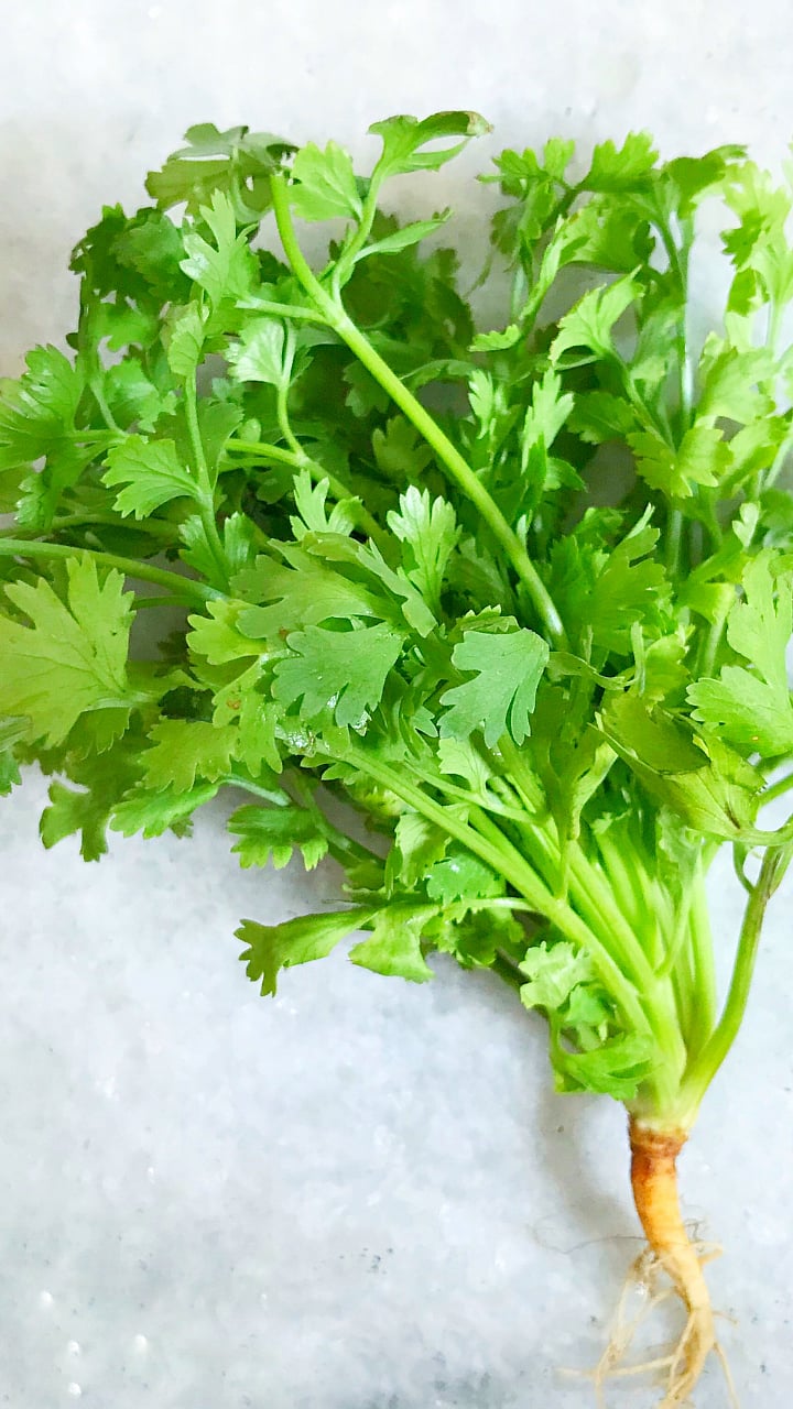 Corrindor benefits | कोथिंबीरीचे सहा फायदे; कोथिंबीर ठेवते तुम्हाला ...