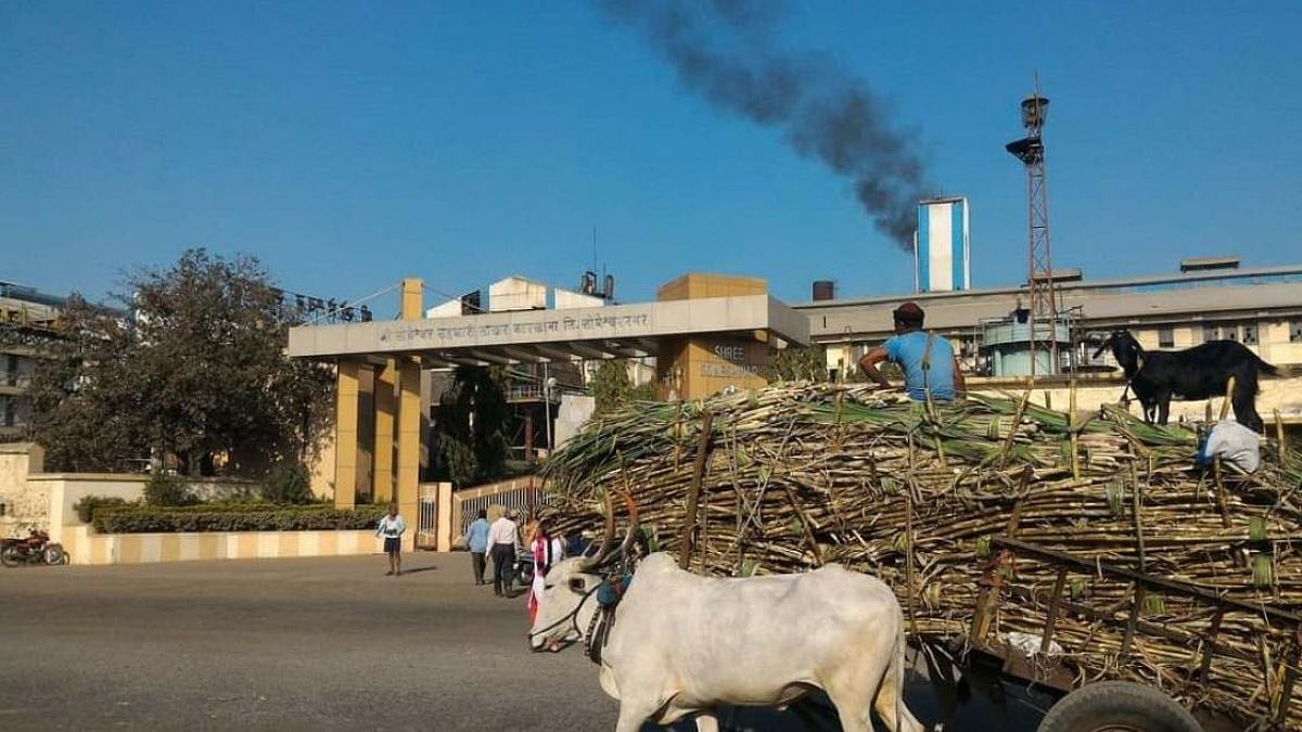 Sugar Factory Owners : शेतकरी संघटनांनी सहकार्य करावे, साखर ...