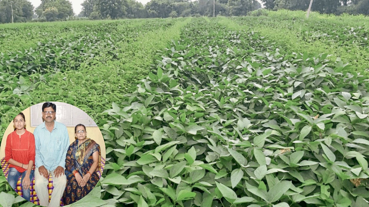 Agriculture Success Story | वेगवेगळ्या प्रकल्पांतून साधली शेतीची प्रगती ...