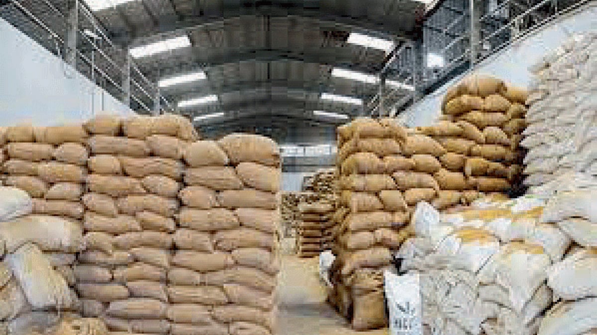 Agriculture Warehouses : गोदामामध्ये शेतीमाल साठवण सुविधा ...
